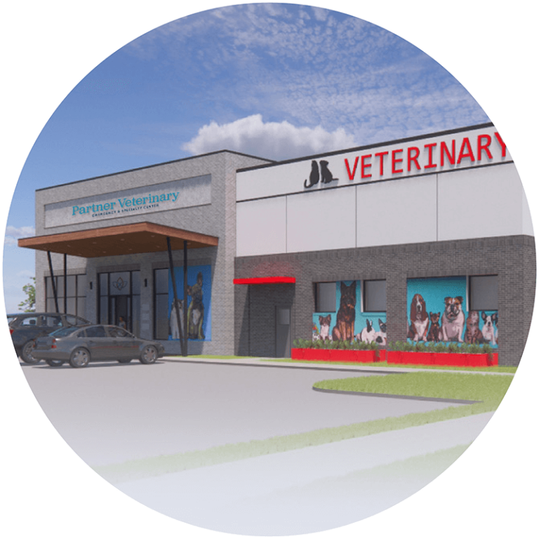 About Us | Partner Veterinary