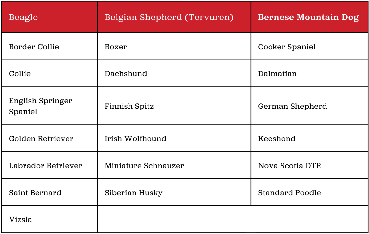 Seizures in dogs and cats - Partner Veterinary
