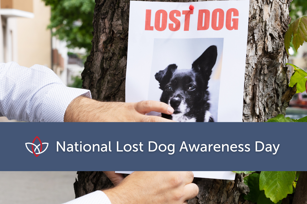 Let’s Recognize National Lost Dog Awareness Day, April 23rd - Partner ...